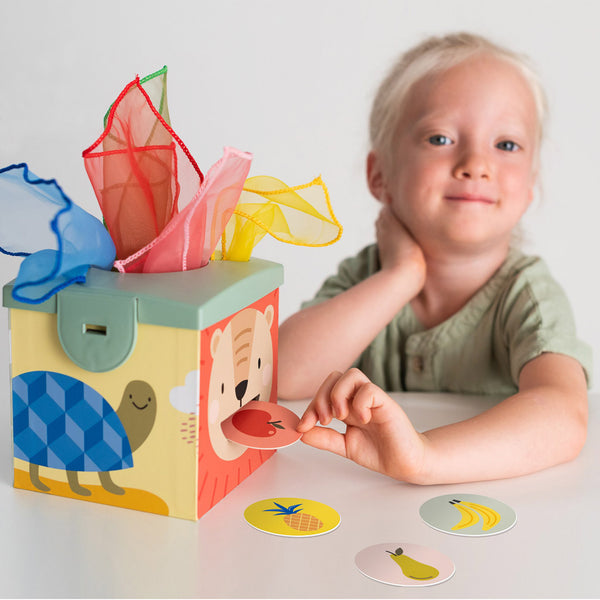 Taf Toys Magic Box - ITOTS PTE LTD